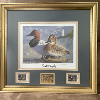 South Carolina Waterfowl Stamp Framed ‘94-95 Governors Edition Duck ...
