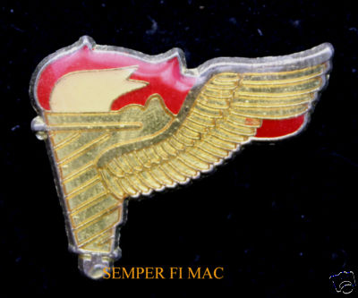 PATHFINDER PARATROOPER LAPEL HAT PIN US ARMY VETERAN TORCH 1-507th PIR ...
