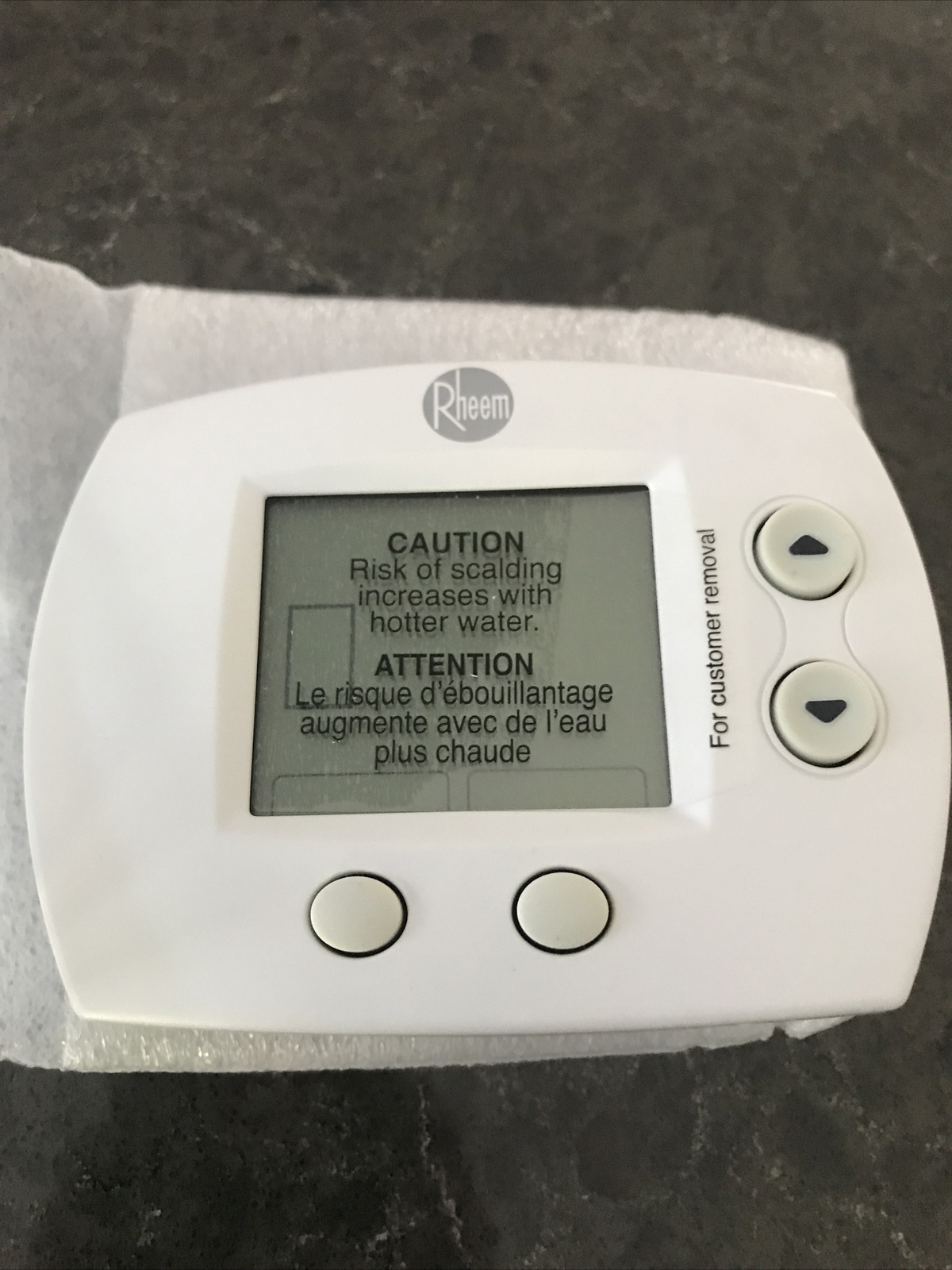 Rheem AP14697A Tankless Water Heater Remote Control Display Panel | eBay