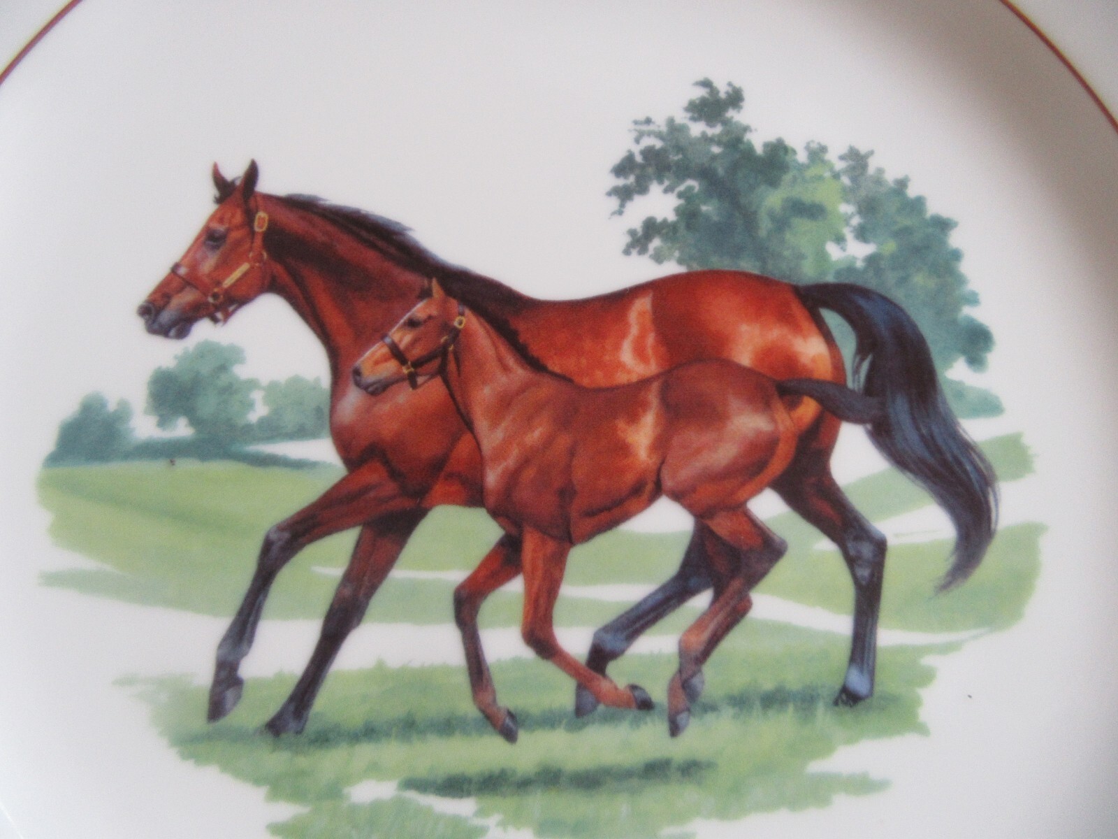 Julie Wear Equestrian Tableware Bluegrass Dinner Plate 10 1/2 ...