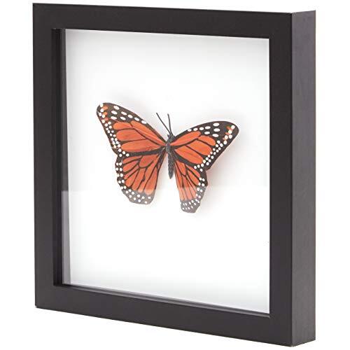 Super-Sturdy, Real Wood 8x8 Shadow Box Frame 1pk. Hardwood Display with ...