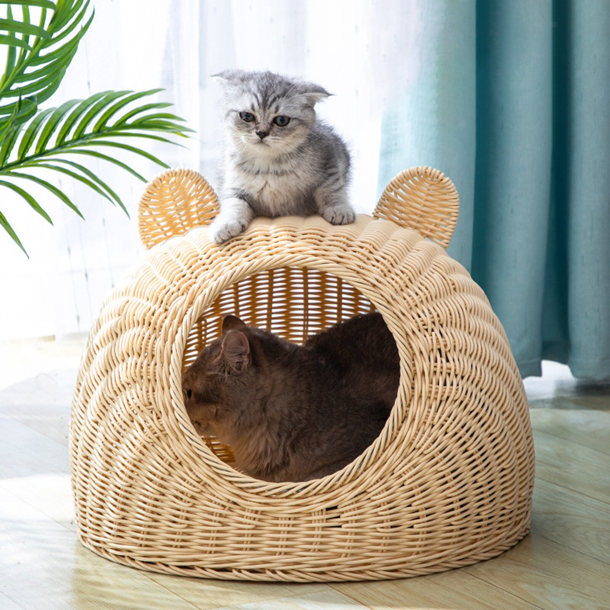 Cat Sleeping Pod
