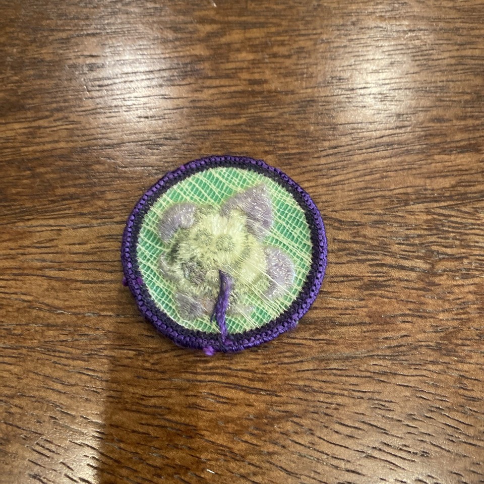 Older Boy Scout BSA World Conservation Award Panda Bear Green | eBay