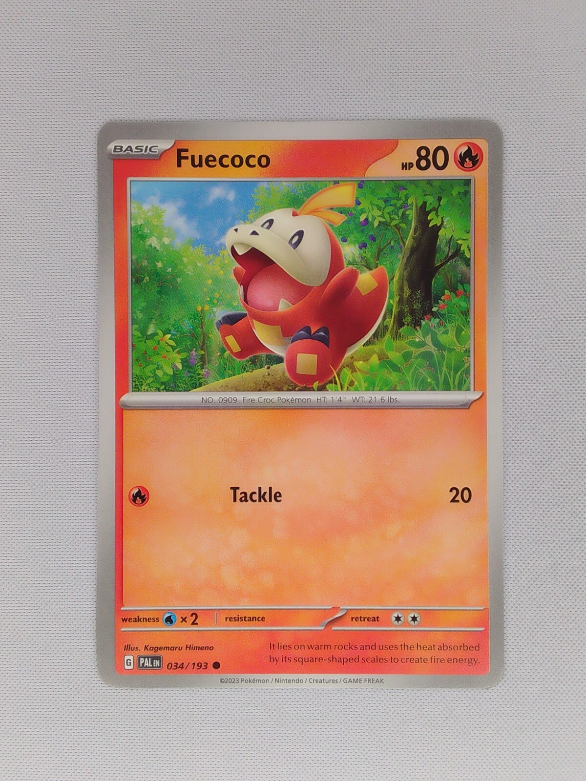 Fuecoco 034/193 • Paldea Evolved • Pokemon TCG • NM/M | eBay