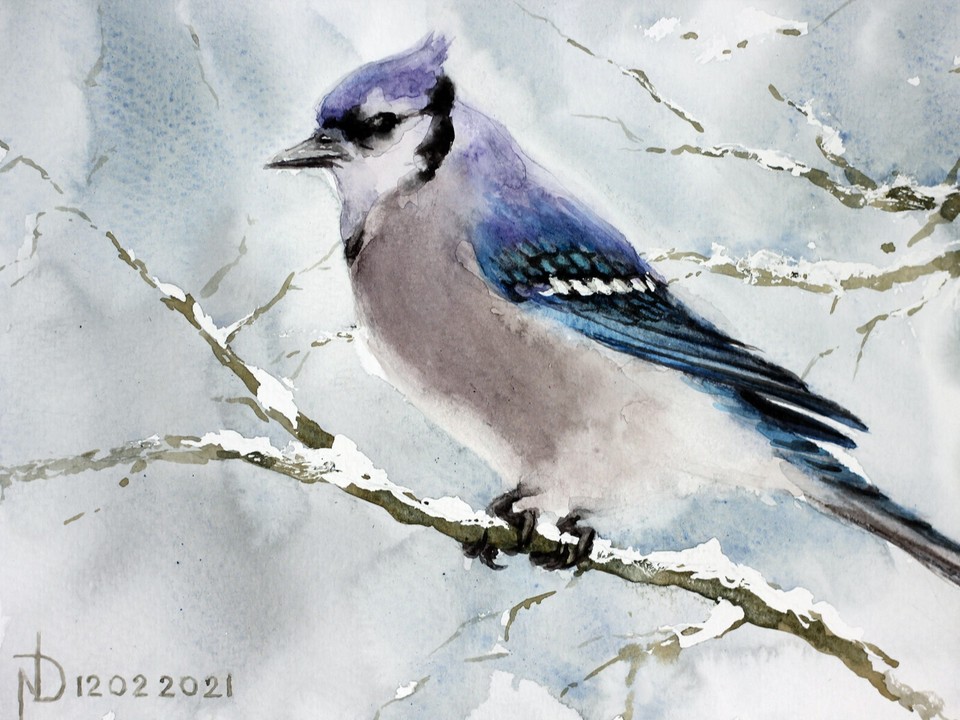 Original Bird Watercolor Painting Blue Jay Art Nature Animal Artwork | eBay