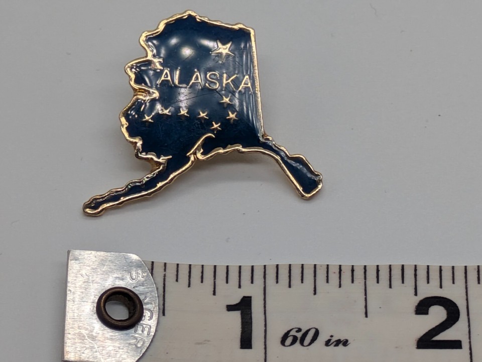 Alaska State Big Dipper North Star Flag Lapel Tack Pin | eBay