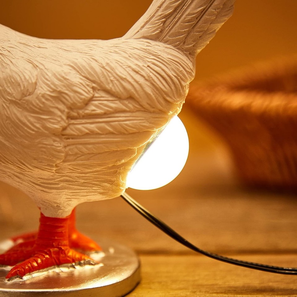Carnival Chicken Lamp Taxidermy Chicken Eggs Lamp Ranch Farm Country ...