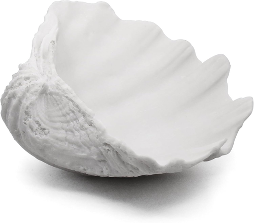 Extra Large Clam Shells Decorative Bowl-White Sea Shells Decorative ...