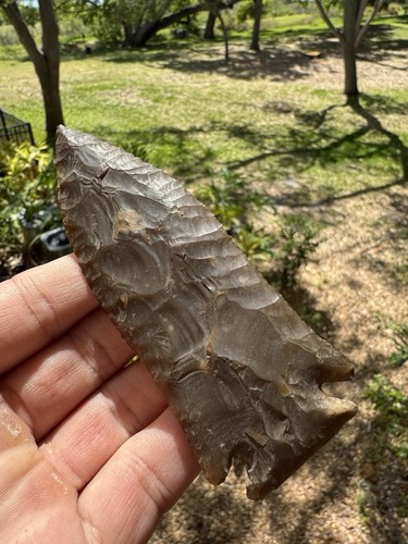 Tennessee Native American Pine Tree Arrowhead Point | eBay