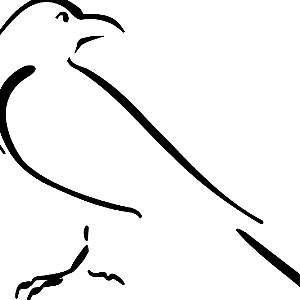 The Retro Crow Picker | eBay Stores