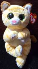 Mango the Cat - Beanie Bellies - Beaniepedia