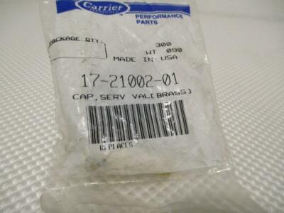 ONE NEW CARRIER THRANSICOLD BRASS CAP VALVE 17-21002-01. | eBay