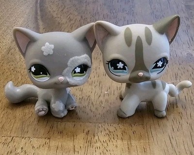 Littlest Pet Shop LPS Grey Shorthair Cat Pair #467 And #468 *READ* | eBay