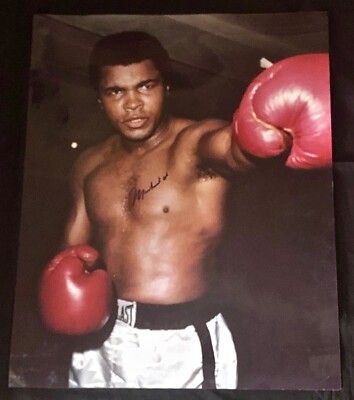 MUHAMMAD ALI HAND SIGNED 16 X 20 "LEFT JAB POSE" COLOR PHOTO | eBay