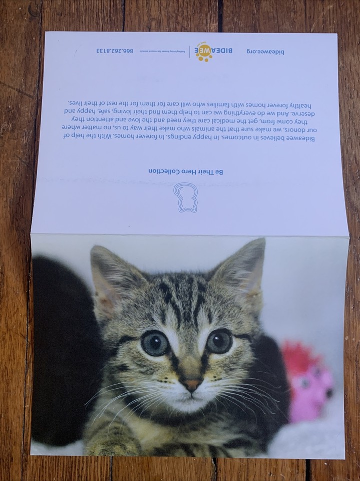 bideawee all occasion cards | eBay