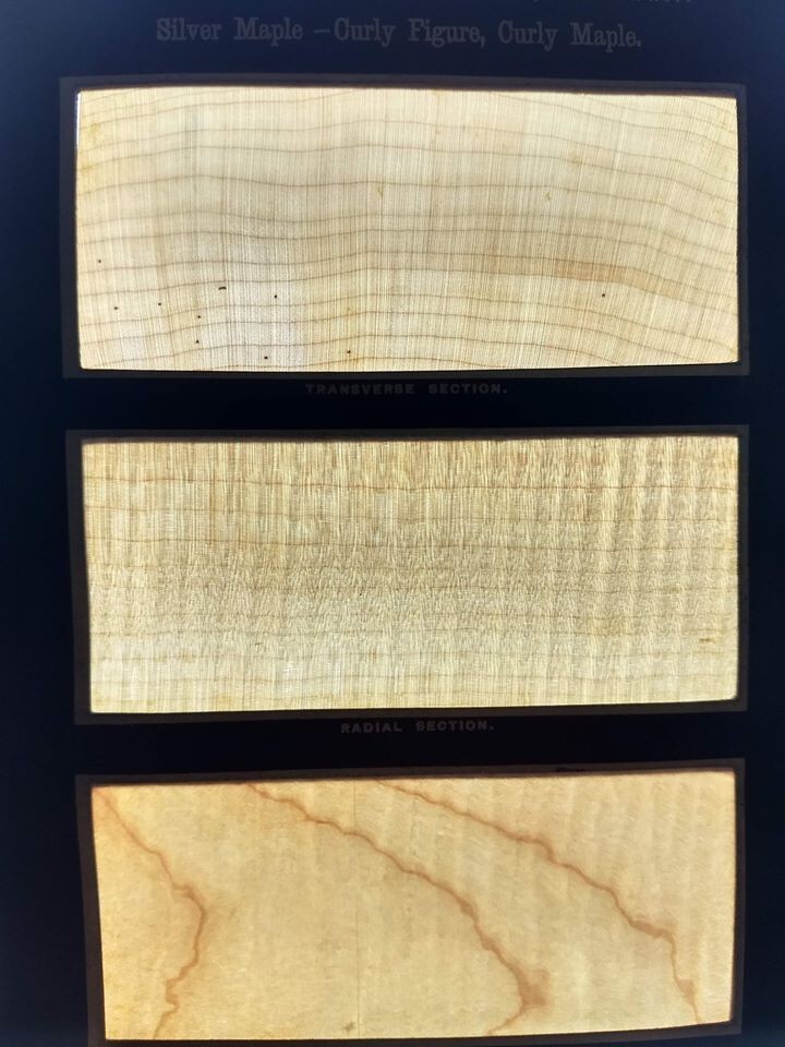THE AMERICAN WOODS, ROMEYN B HOUGH, 12 VOLS PLUS RARE 2 VOL COMMERCIAL ...