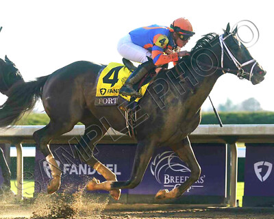 FORTE 2022 BREEDERS CUP JUVENILE CHAMPION 8X10 PHOTO IORAD ORTIZ UP | eBay