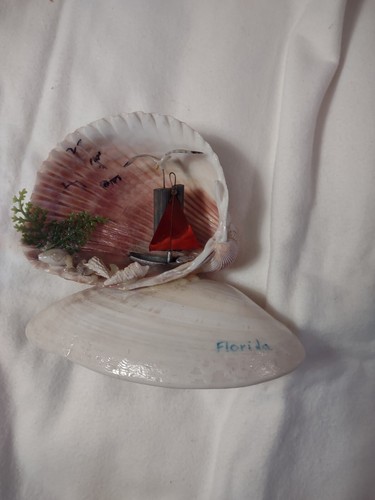 Vintage hand painted Sea Shell Florida Souvenir | eBay