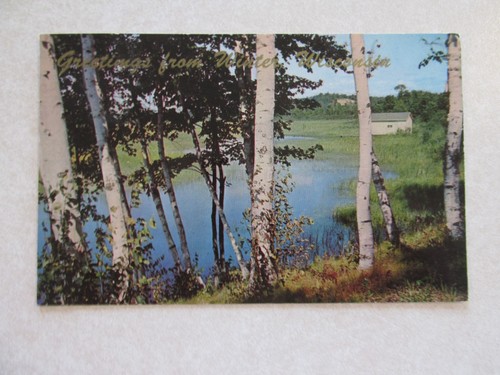 E356 Postcard Greetings from Winter Wisconsin lake scene birch near ...