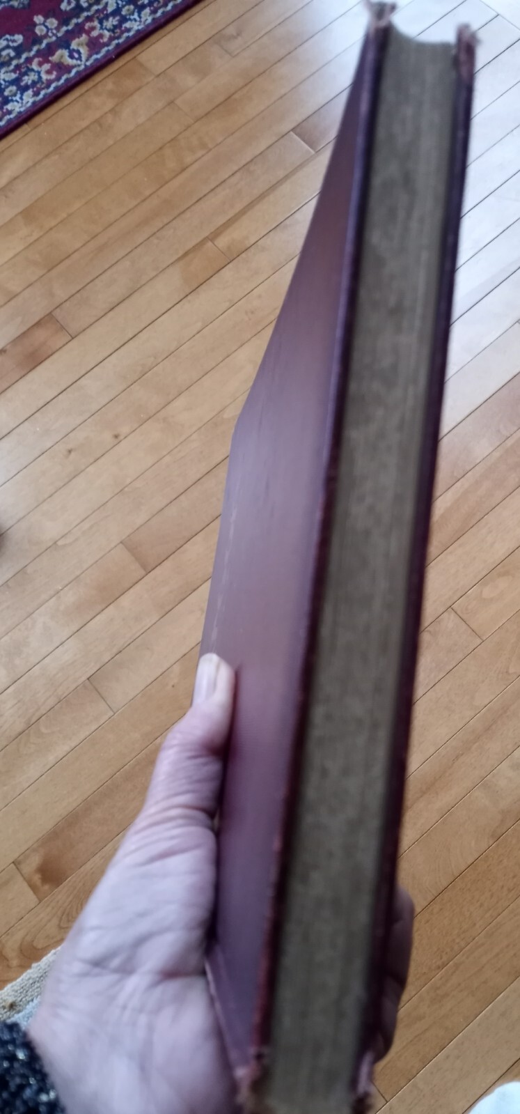 1921 "Maroon" - Elgin High School Yearbook - Elgin, IL | eBay