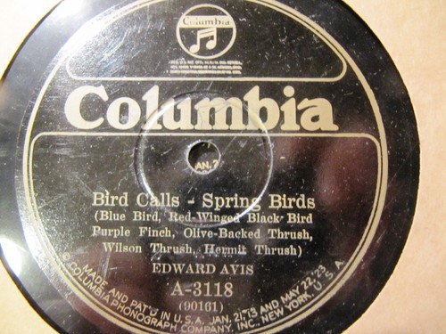 Announced 1918 Edward Avis BIRD Imitator A Day with BIRDS Calls ...