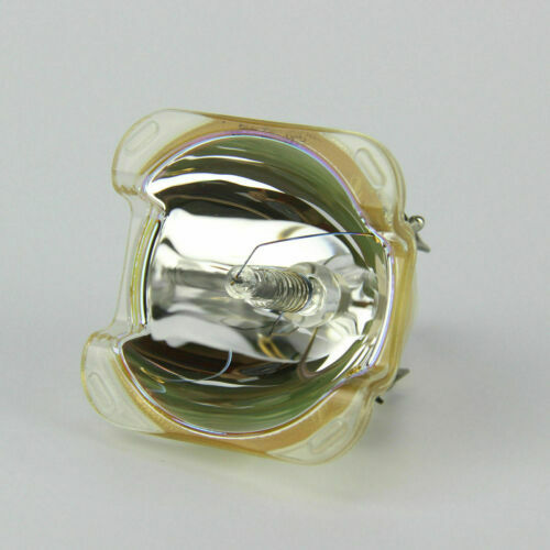 Compatible Projector Lamp bulb 1018740 for SMART BOARD UX80 | eBay