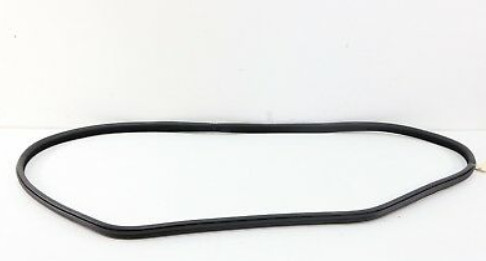 BMW X5 F15 F85 M REAR RIGHT DOOR SEAL WEATHERSTRIP 51227289638 14-17 NO ...