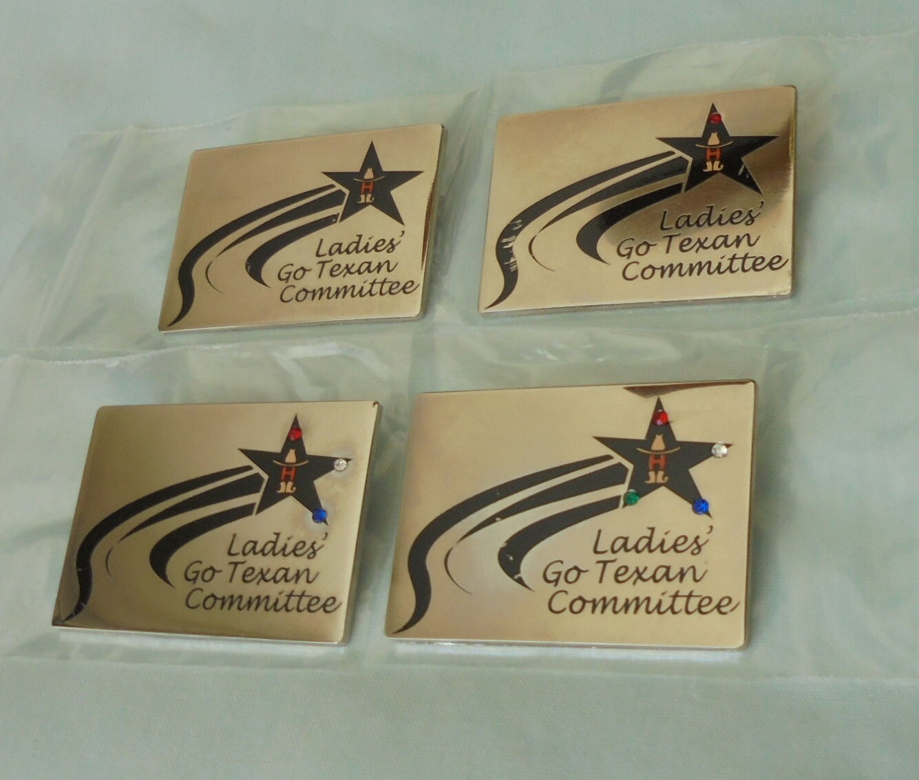 Texas Houston Livestock Show and Rodeo Ladies Go Texan Committee Lapel ...