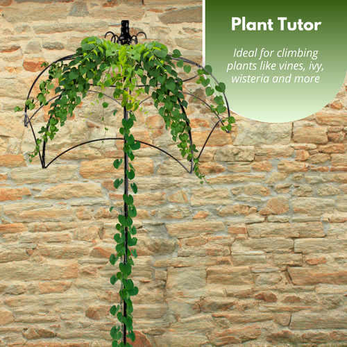 Metal Umbrella Plant Support Outdoor Rose Arch Climber Trellis Flower ...