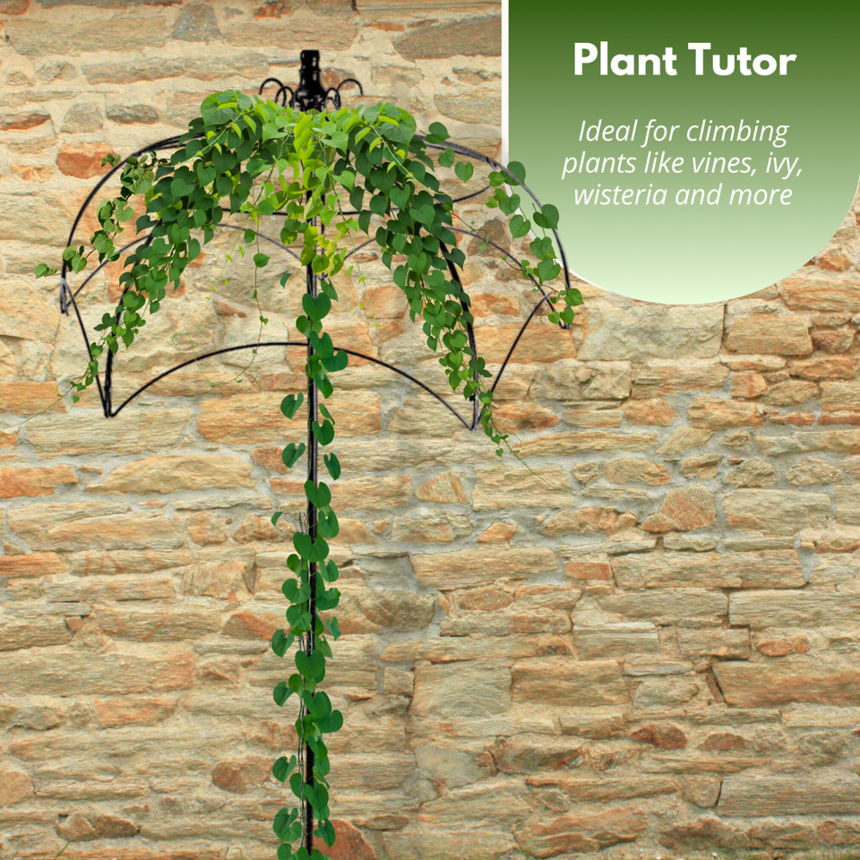 Metal Umbrella Plant Support Outdoor Rose Arch Climber Trellis Flower ...