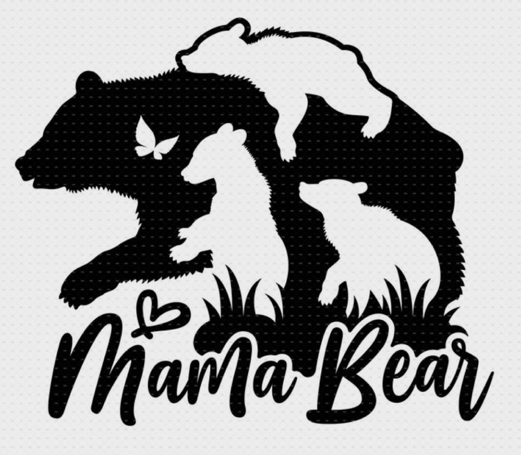 Mama Bear And Cubs Drawing