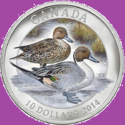 2014 Canada Ducks - Pintail Duck $10 99.99% Pure Silver Coin Mint Set ...