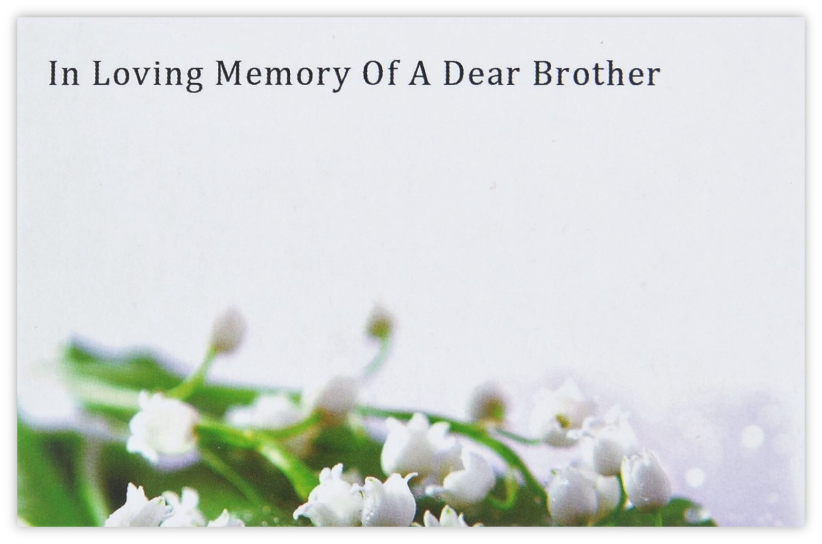 In Loving Memory Male Flower Message Cards - Brother, Dad, Grandad ...