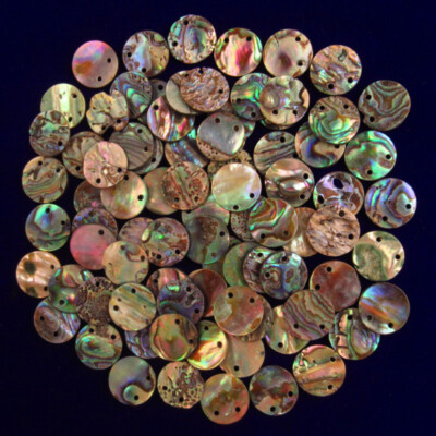 75Pcs Abalone Shell Round Pendant Bead 12x1mm L38811 | eBay