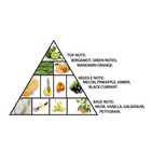 Al Haramain Amber Oud Aqua Dubai ExDP 100ml Perfume | Mandarin, Melon ...