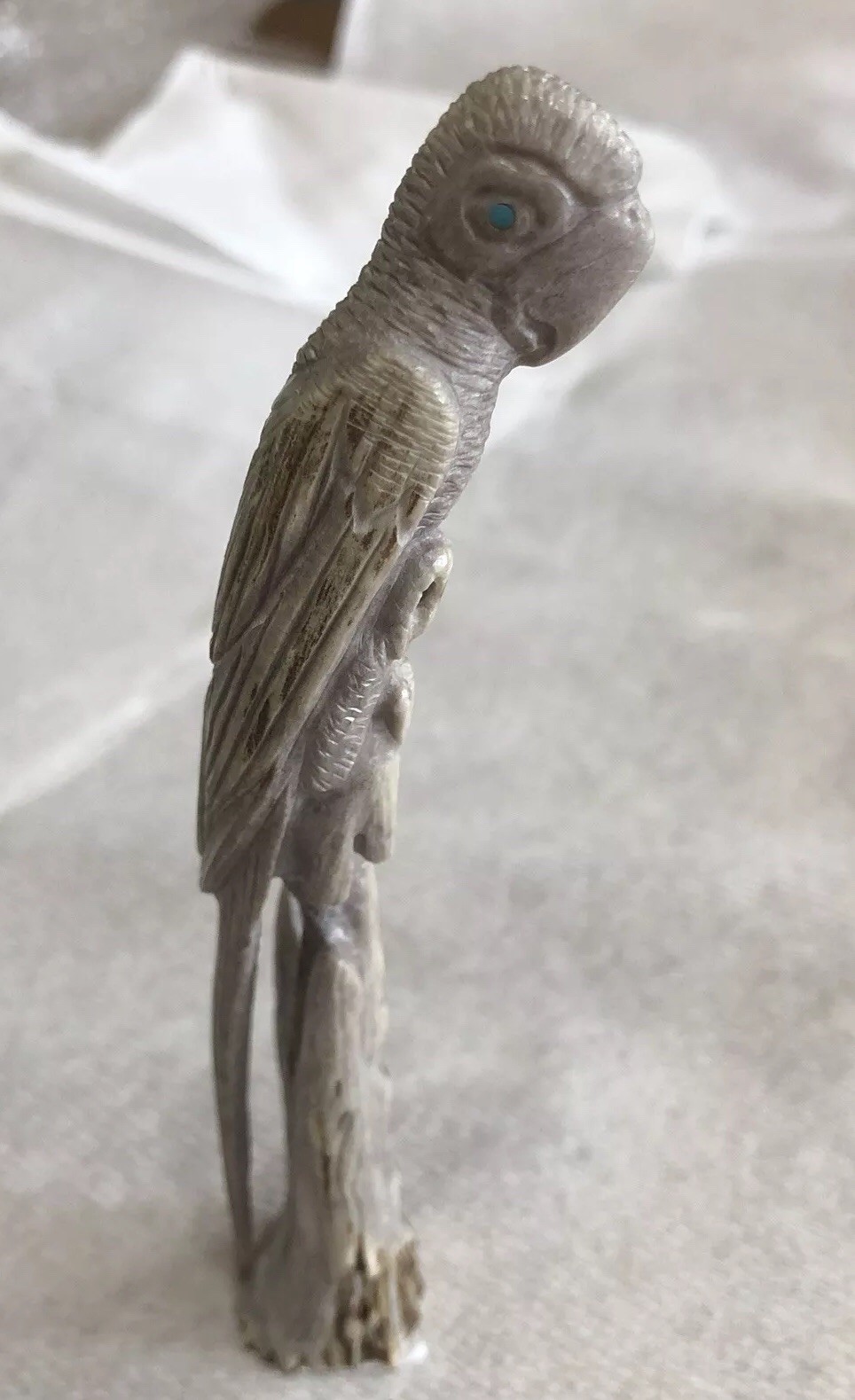 Zuni Parrot fetish Maxx Laate antler artist Perched On Tree. 0075 | eBay