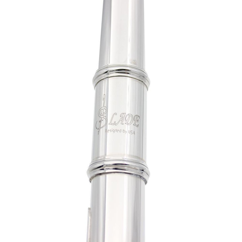 Professional Silver Flute ... SILVER INSTRUMENT with Case | eBay