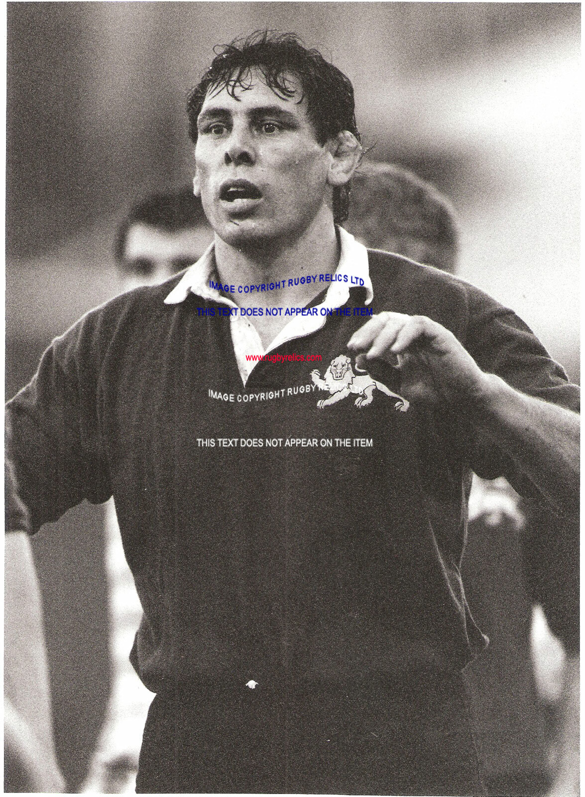 Wayne Shelford - NEW ZEALAND black & white 9x6" RUGBY PHOTOGRAPH | eBay