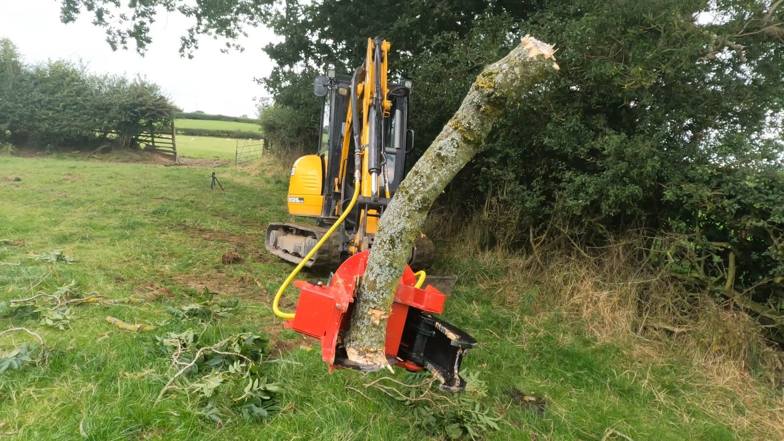 Tree shear Rotator | eBay UK