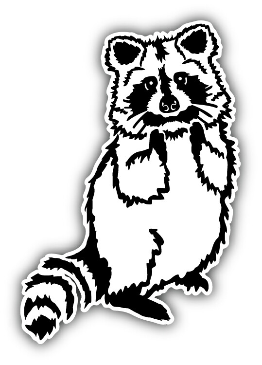 Raccoon Outline