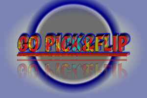 Go Pick&Flip | eBay Stores
