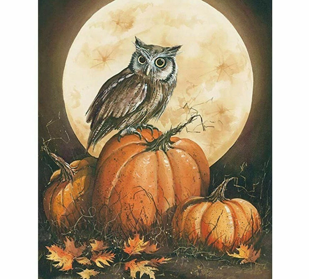 Painted Owl Pumpkins