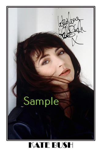 Kate Bush large autograph signed 12x18 inch photograph poster - Top ...