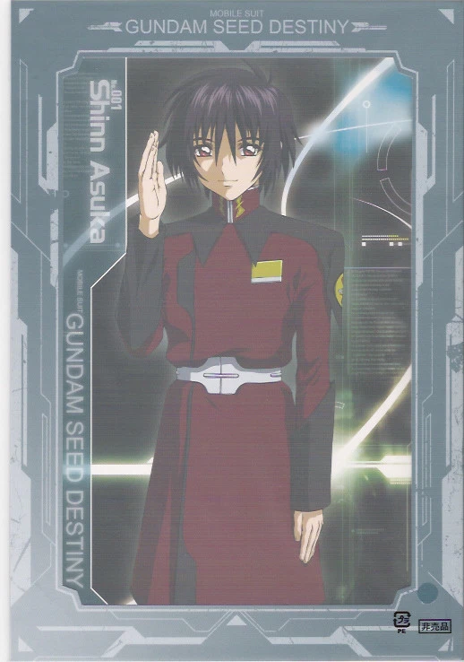 Gundam Seed Destiny Shinn