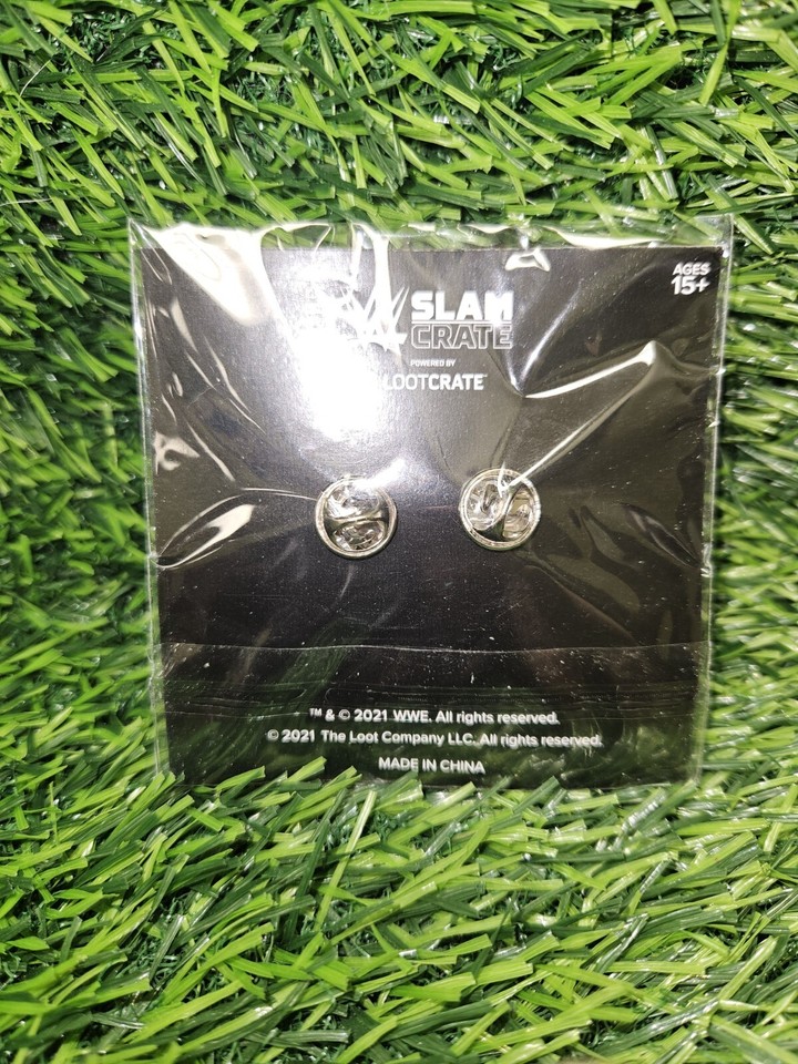 Loot Crate WWE Slam Crate Hell in a Cell Cage Pin Pinback 2021 NEW ...