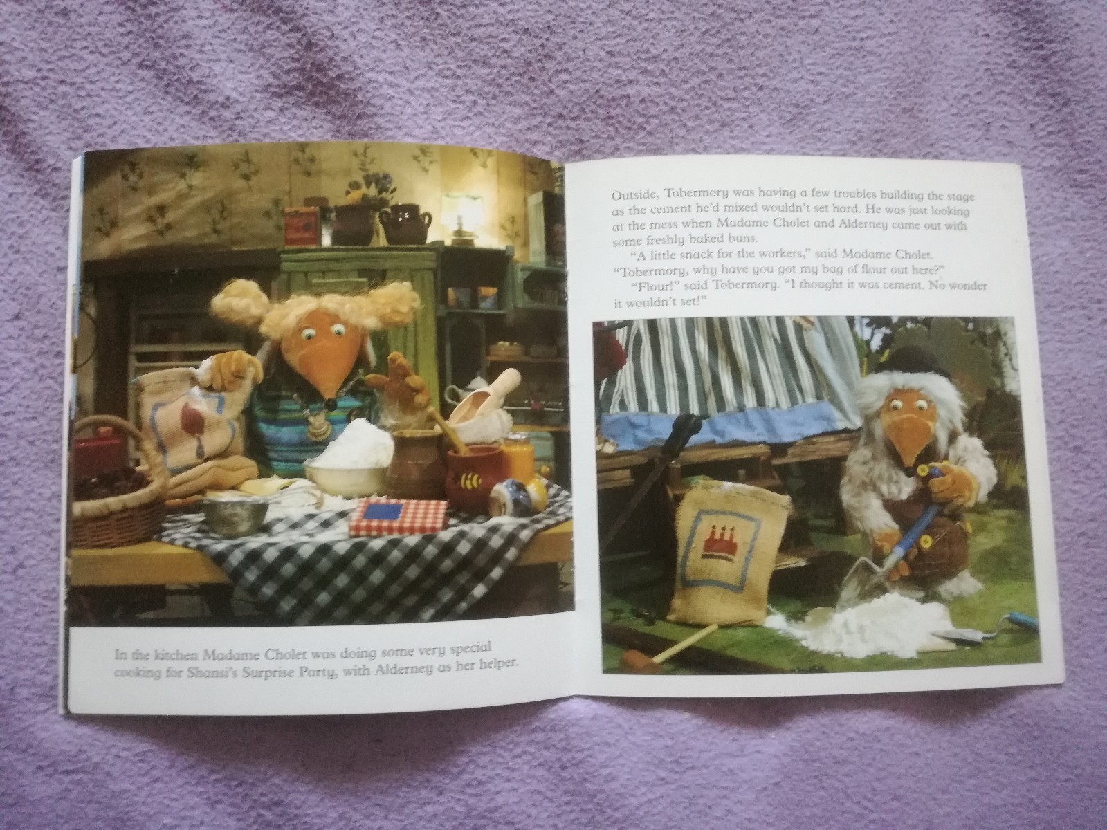 THE WOMBLES - SHANSI'S SURPRISE - ELIZABETH BERESFORD/FILMFAIR 1999 1st ...