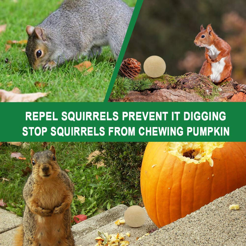Repellent Squirrel, Keep Squirrels Away, Squirrels Deterrent-8PCS | eBay