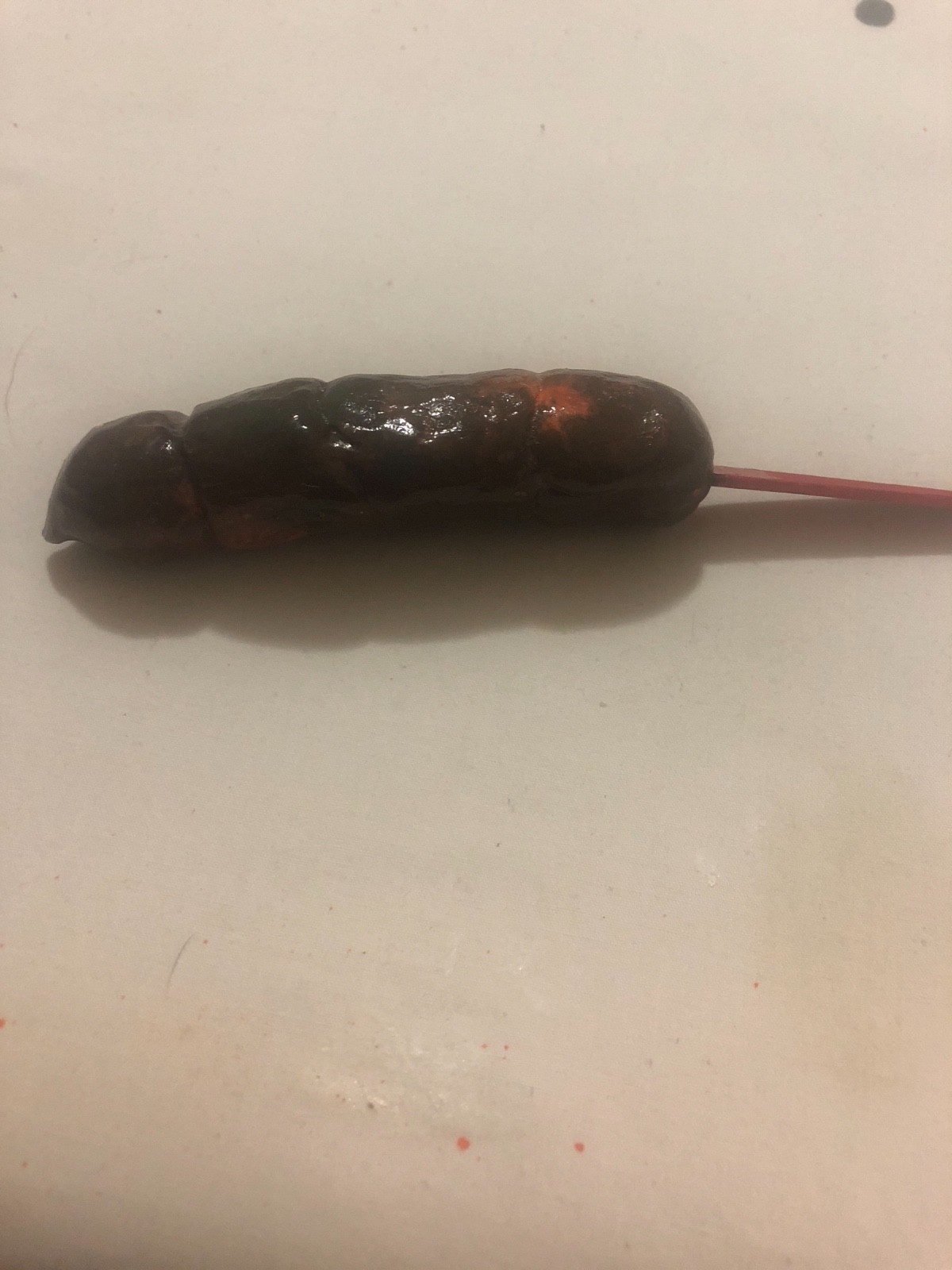 poop gag prop Poopscile halloween prop haunted house prop | eBay