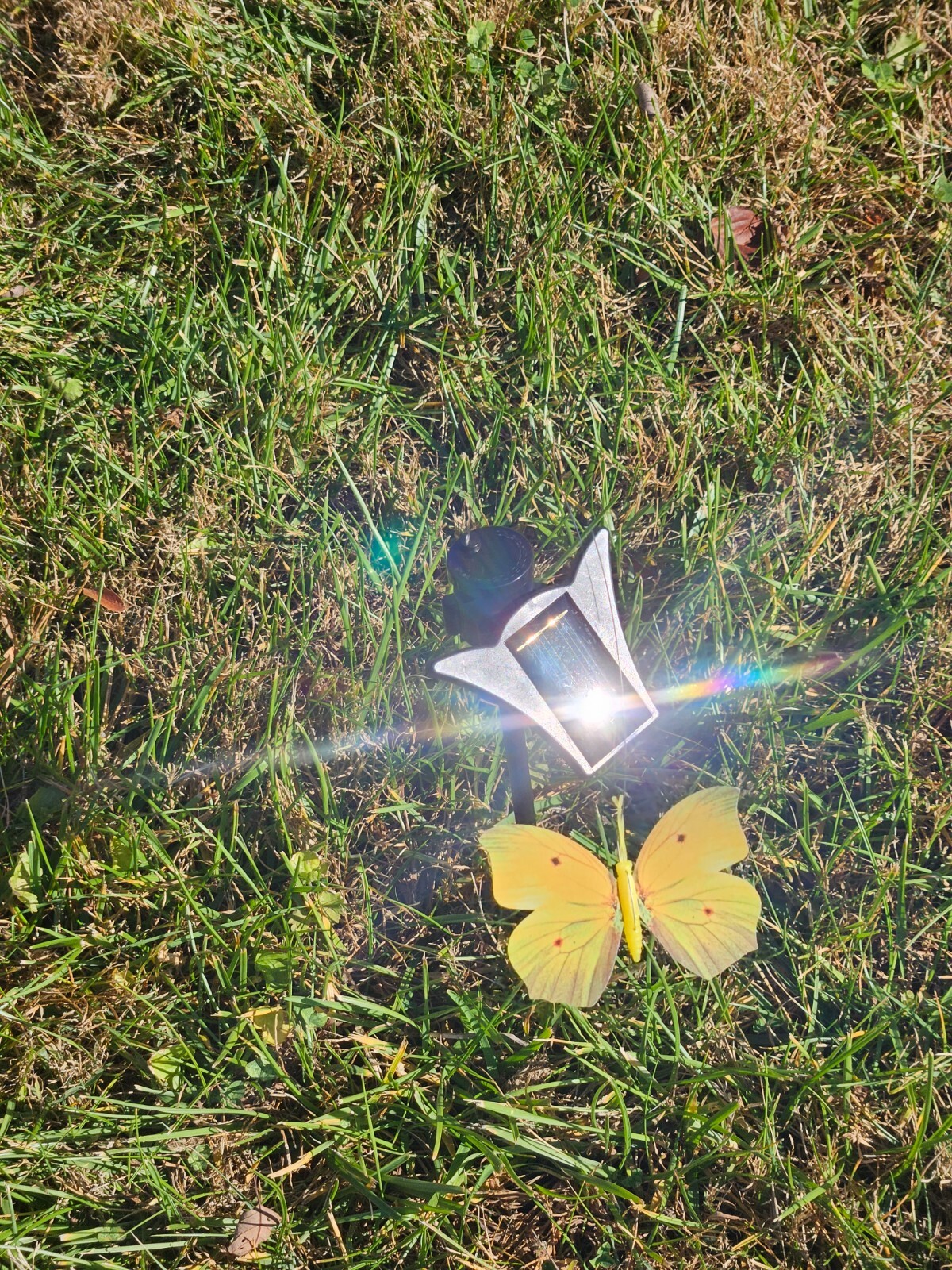 Solar Flutter: Enchant your garden with a Solar Energized Butterfly ...