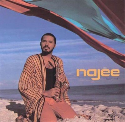 Najee: Najee's Theme (CD, 1986) | eBay